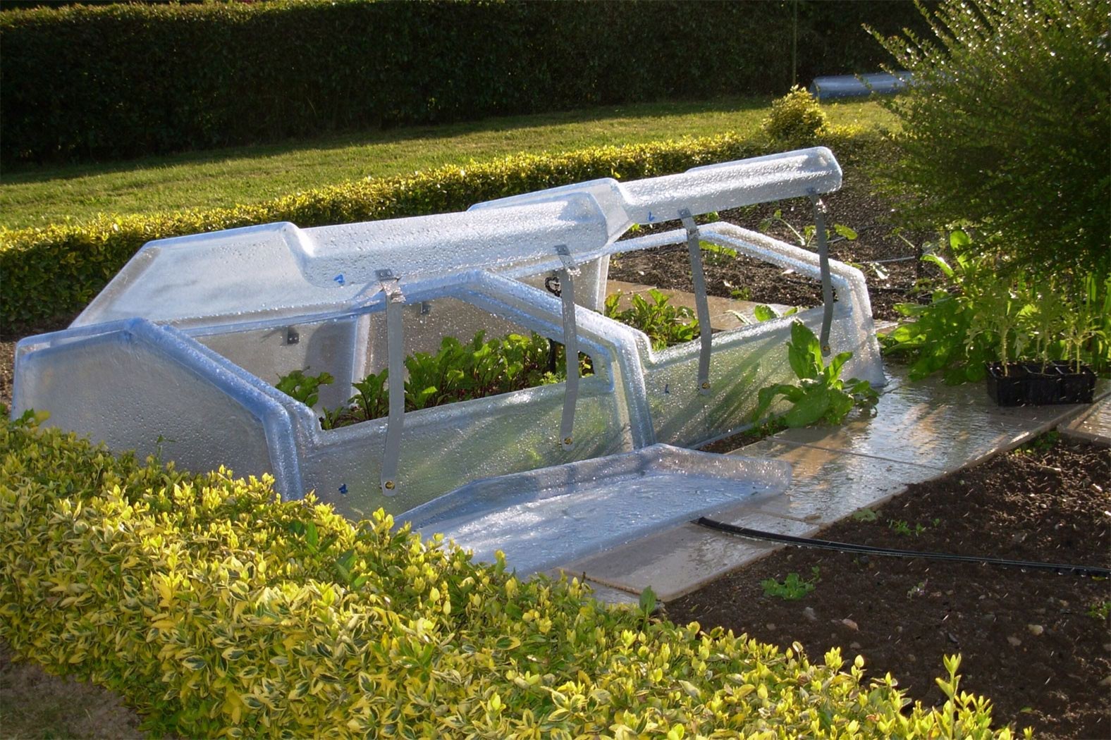 Mini-serre n°5 de 0,80 m x 0,80 m x 0,25 m – La boutique du jardinage